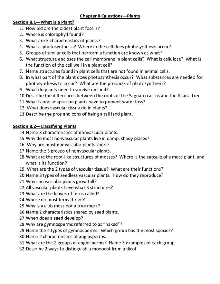 Plant Biology Study Questions: Chapter 8 Review