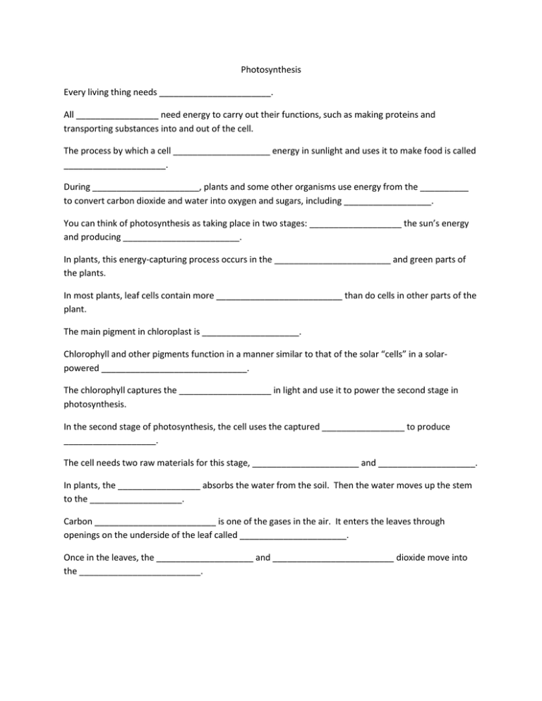 Photosynthesis Worksheet: Middle School Science