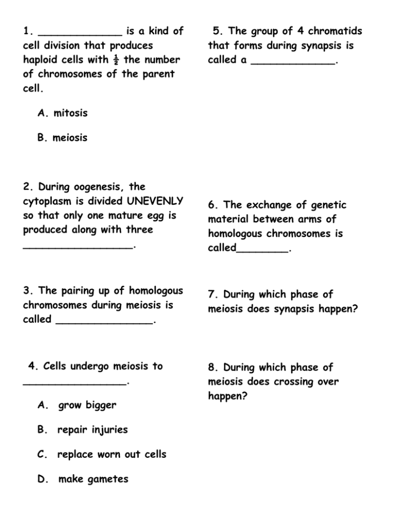 Meiosis Worksheet: Cell Division & Genetics