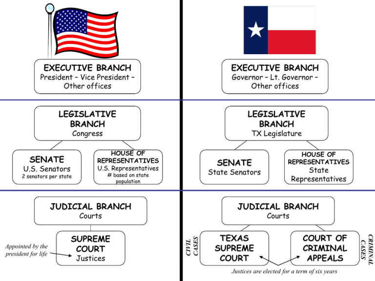 US & Texas Government Structure: Branches & Roles