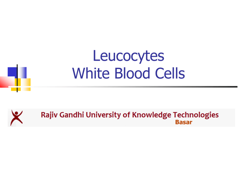 Leucocytes: White Blood Cell Types & Functions