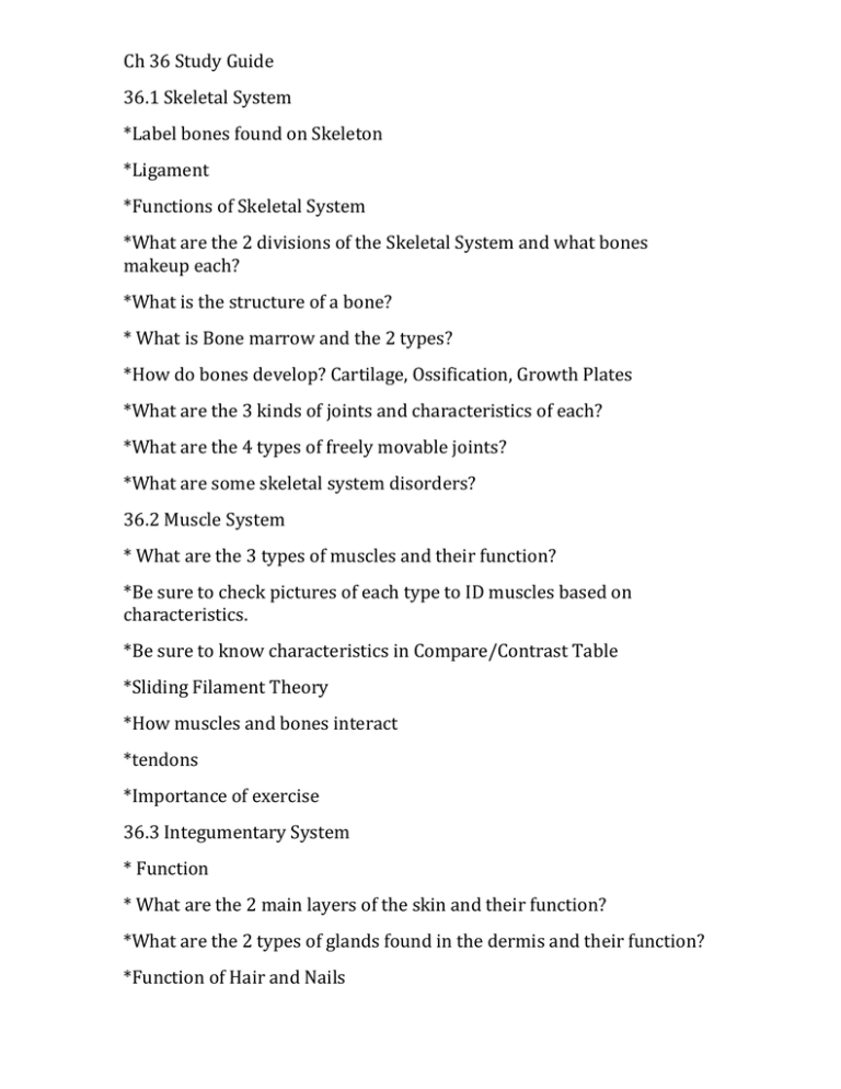 Skeletal, Muscular, Integumentary Systems Study Guide