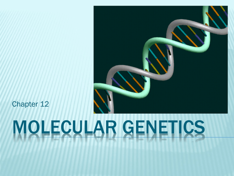 Molecular Genetics: DNA, RNA, Protein Synthesis & Mutations