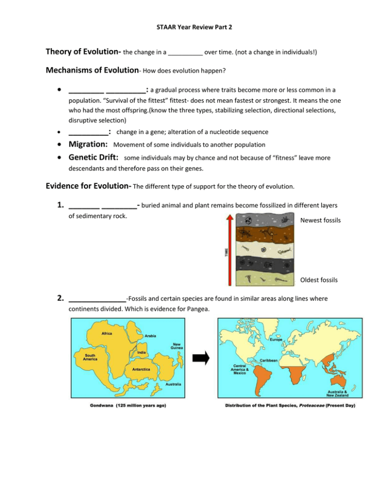 STAAR Review Part II without answers