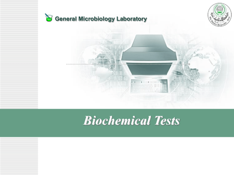 Microbiology: Amylase & Gelatin Liquefaction Tests