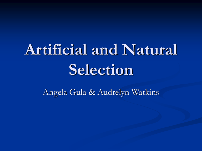 Natural and Artificial Selection