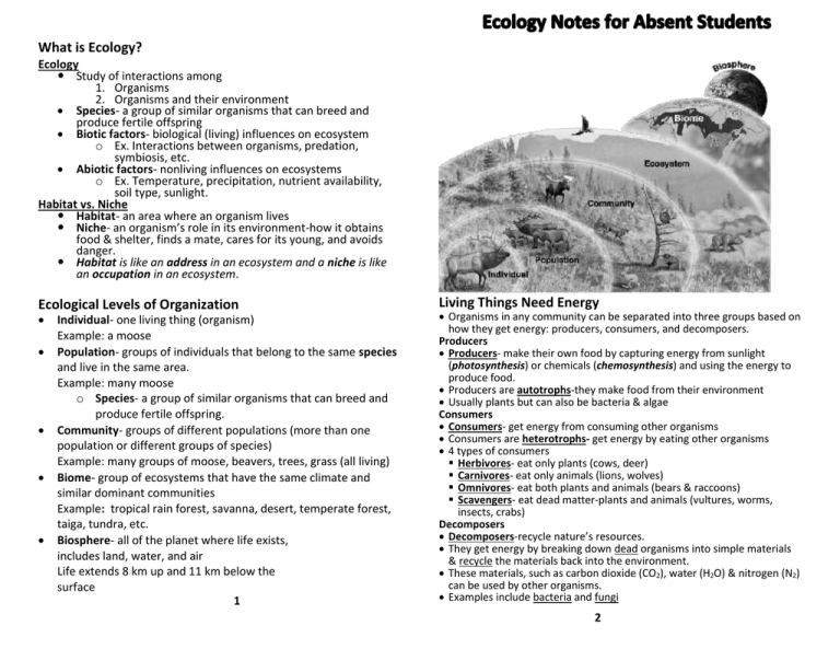 Ecology notes