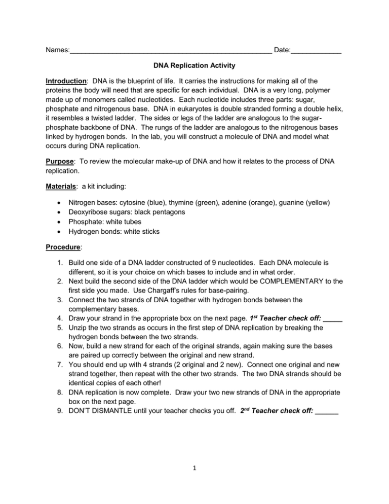 DNA Replication with the kits