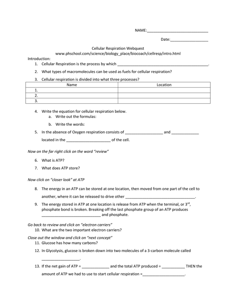 Cellular Respiration Webquest Worksheet