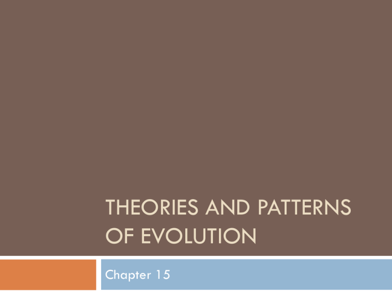 Evolution Theories & Patterns: Presentation