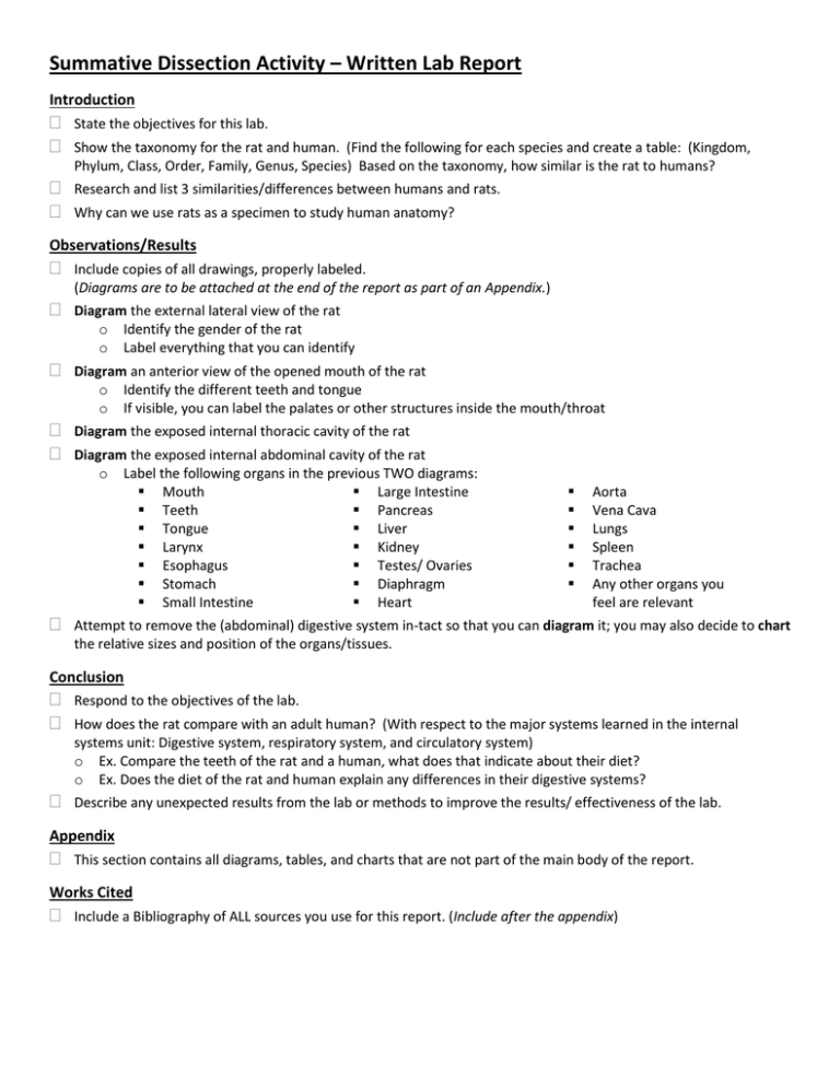 Rat Dissection Lab Report: Anatomy & Comparison