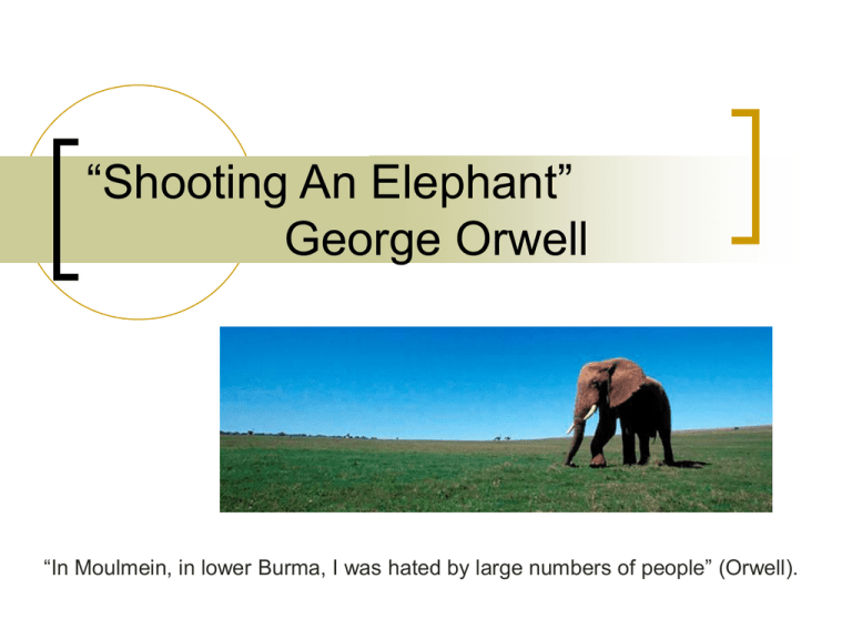 Shooting an Elephant: Orwell Analysis & Summary