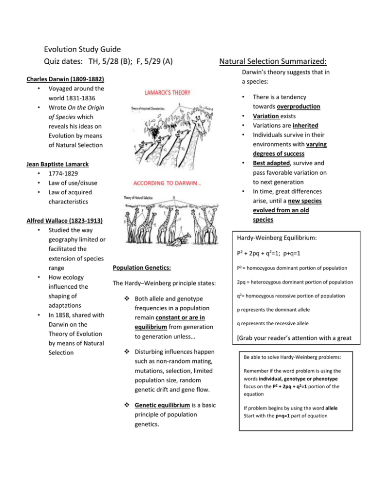Evolution Study Guide: Darwin, Natural Selection, & Hardy-Weinberg
