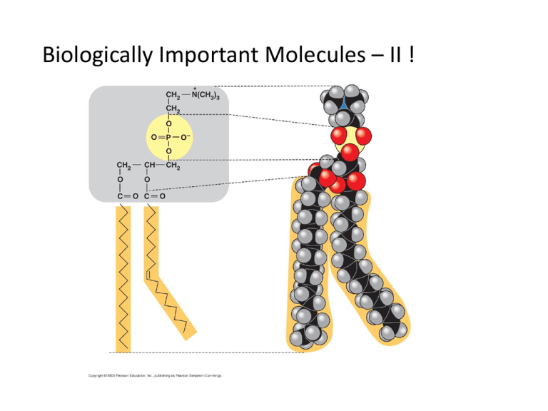 structural