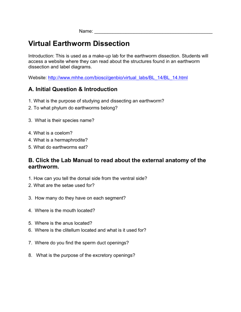 Virtual Earthworm Dissection Worksheet
