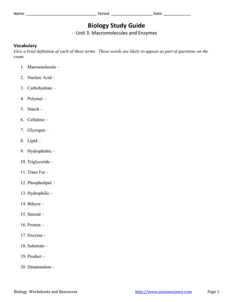 Biology: Macromolecules & Enzymes Study Guide