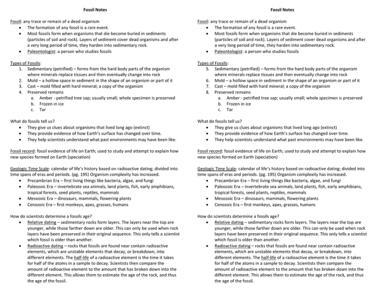 Fossil Notes: Formation, Types, and Dating Methods