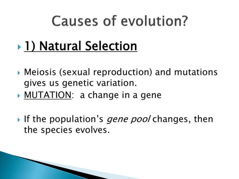 Causes of Evolution: Natural Selection & Genetic Drift