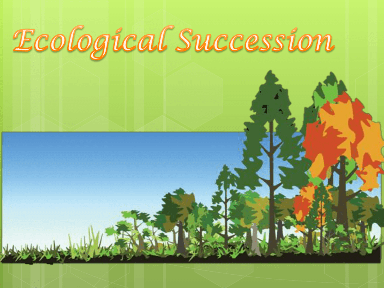 Ecological Succession: Student Guide & Activities