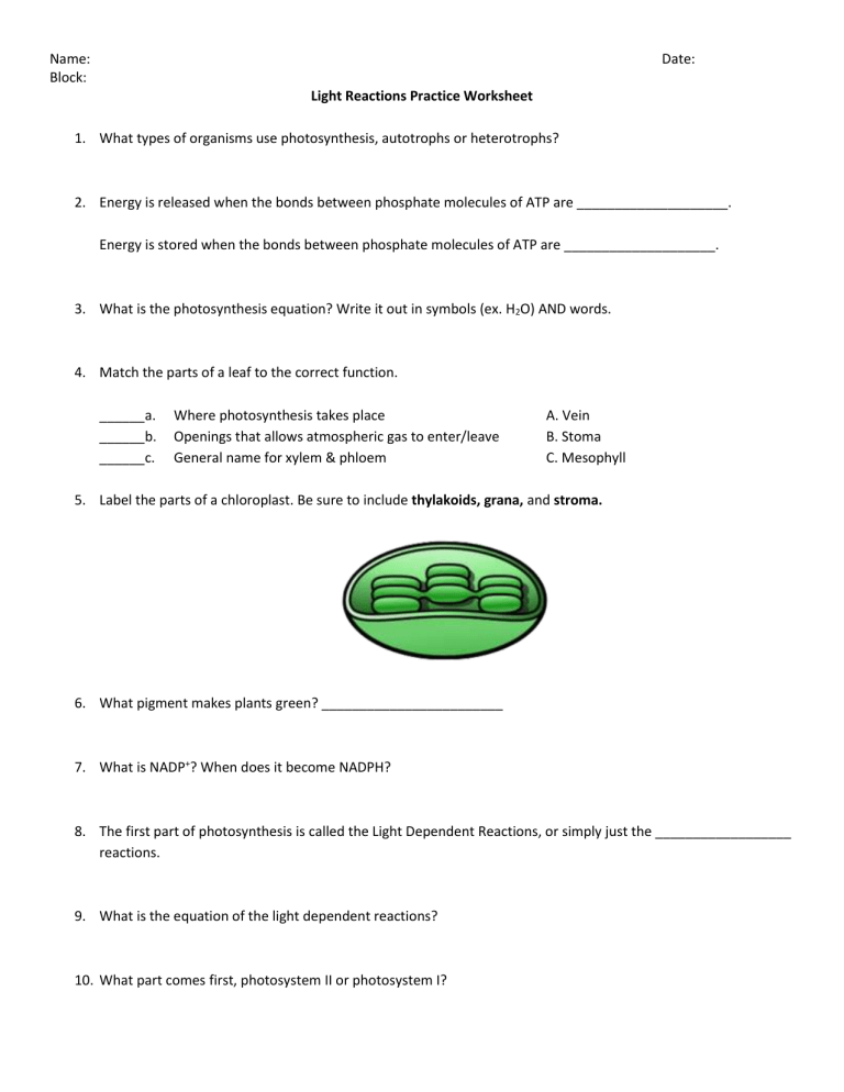 Light Reactions Photosynthesis Worksheet