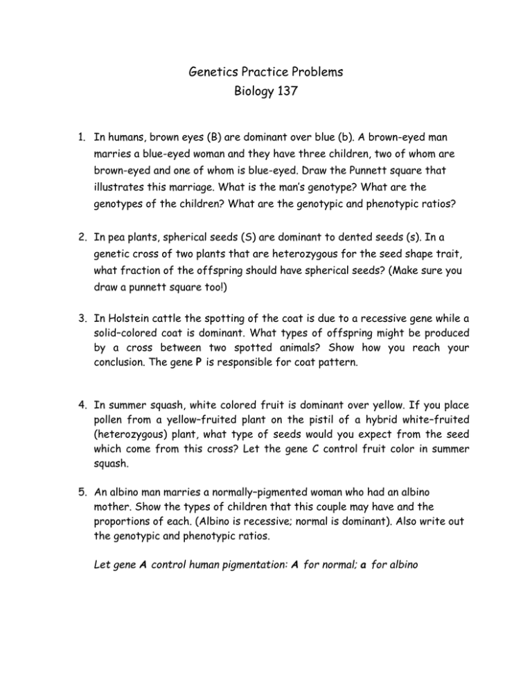 Genetics Practice Problems: Biology 137