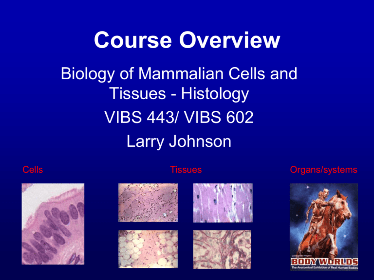 Histology Course Overview: Mammalian Cells & Tissues
