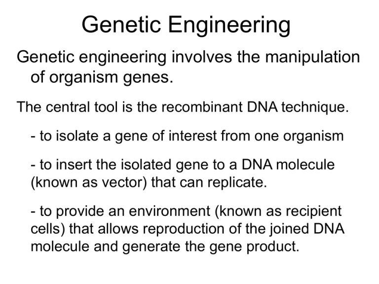Genetic Engineering: Recombinant DNA & Gene Transfer