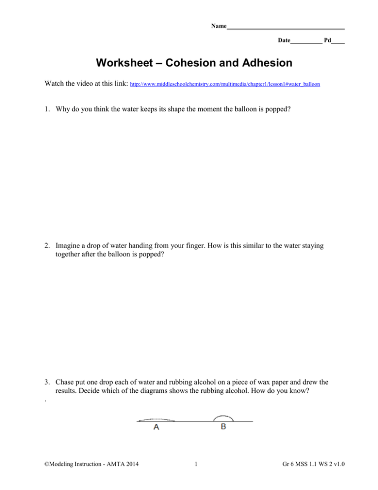 Cohesion and Adhesion Worksheet for Middle School