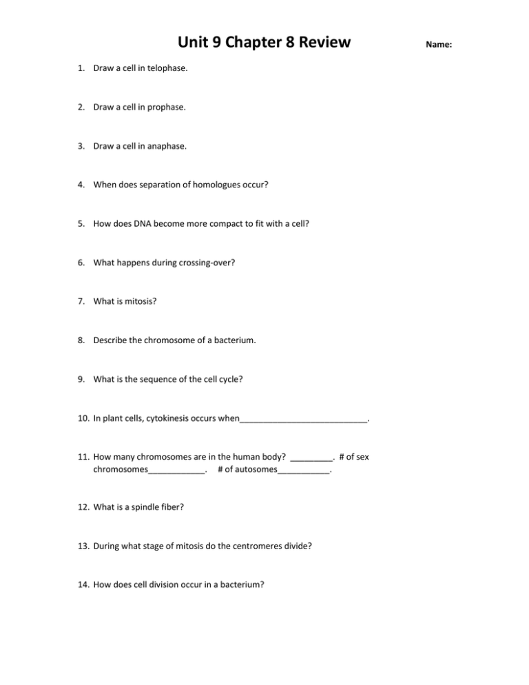 Cell Division Review Worksheet: Mitosis & Meiosis