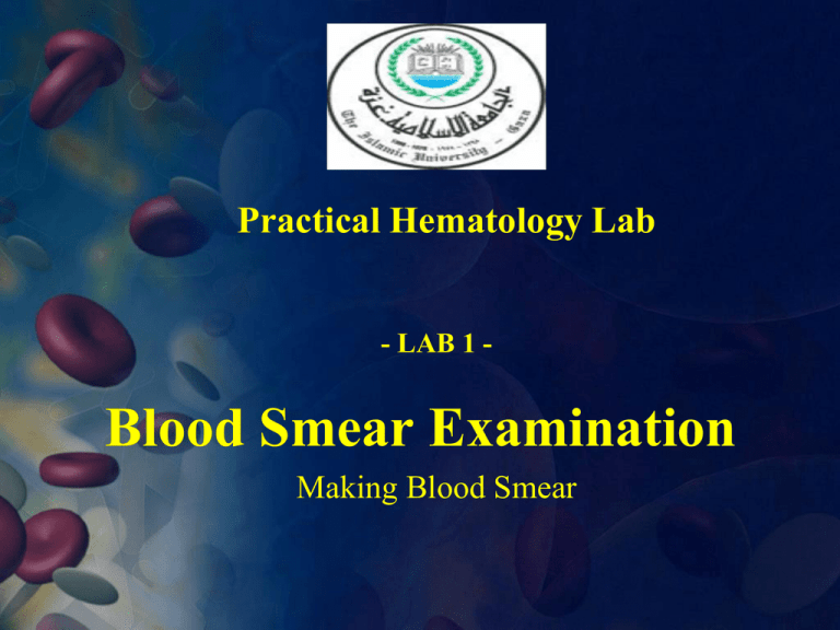 Blood Smear Examination: A Practical Hematology Lab Guide