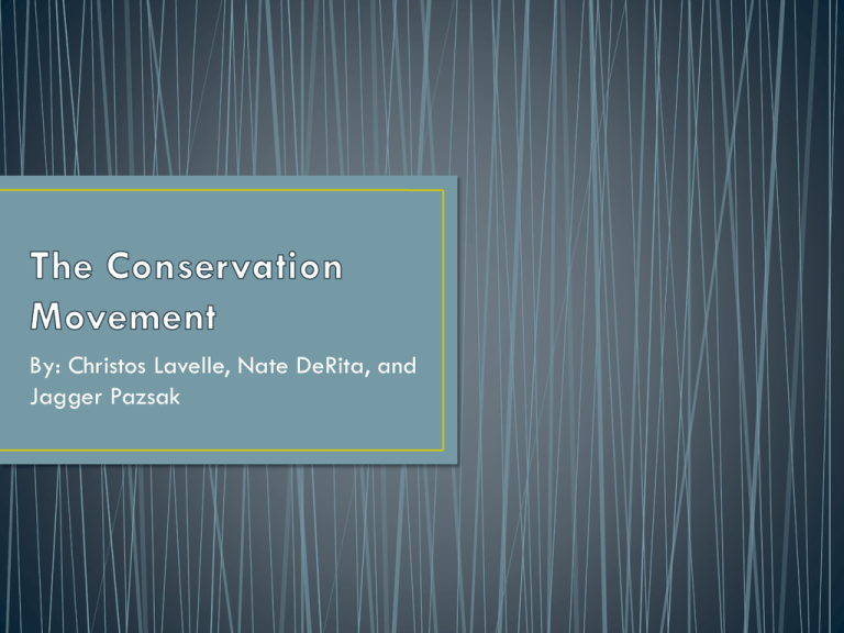 The Conservation Movement