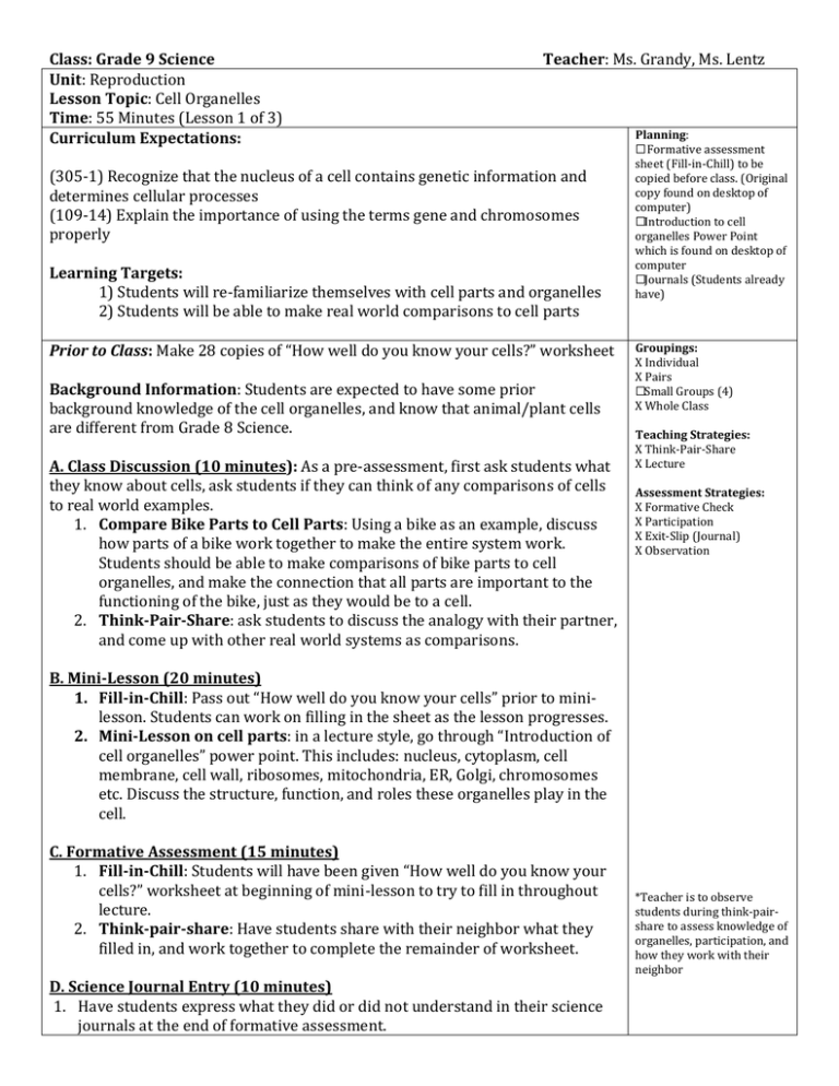 Grade 9 Science: Cell Organelles Lesson Plan