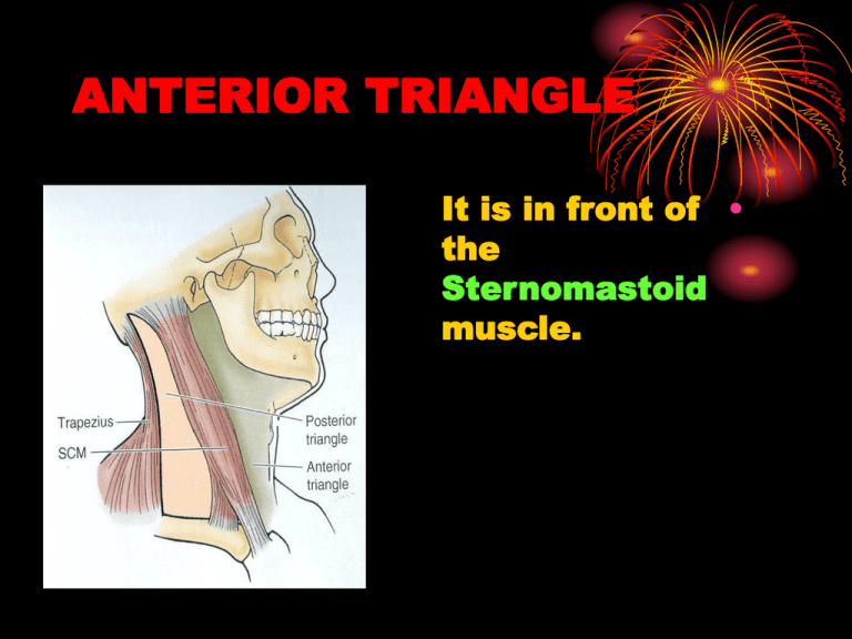 10. Anterior triangle
