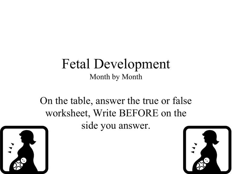 Prenatal Development