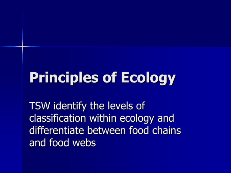 Principles of Ecology: Food Chains & Webs