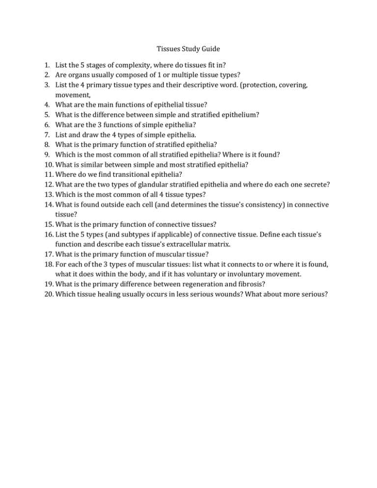 Tissues Study Guide
