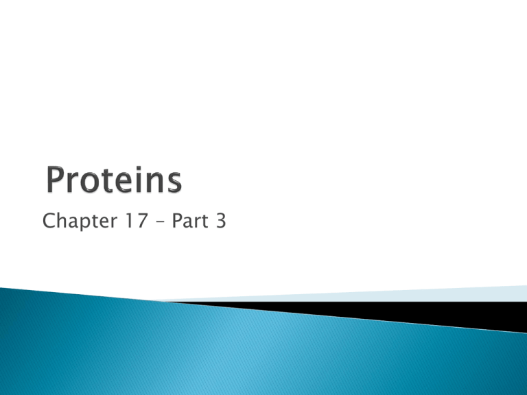 Proteins