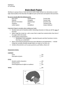 AP Psychology Brain Scenarios Worksheet