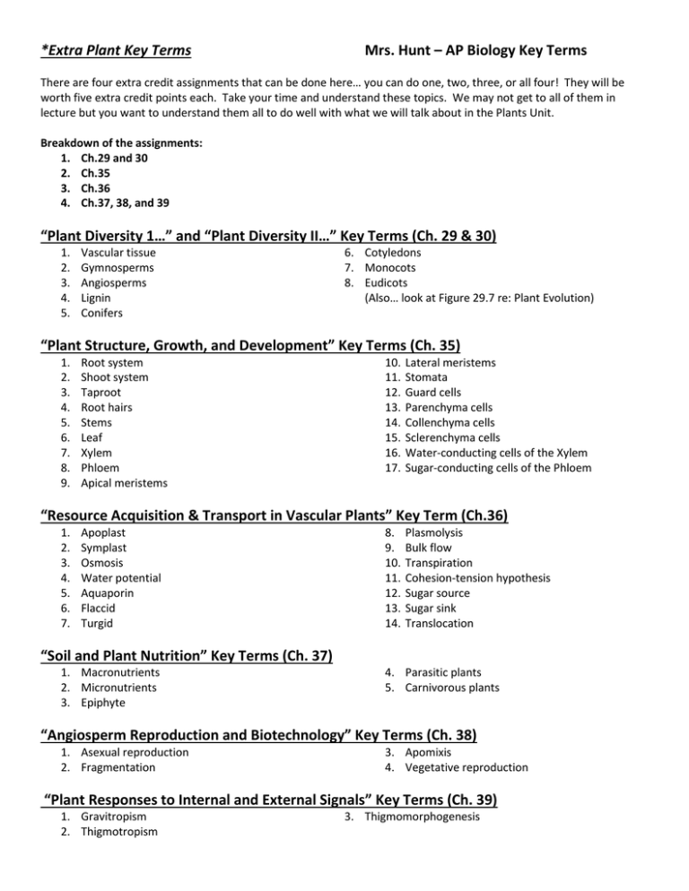 Extra Plant Key Terms