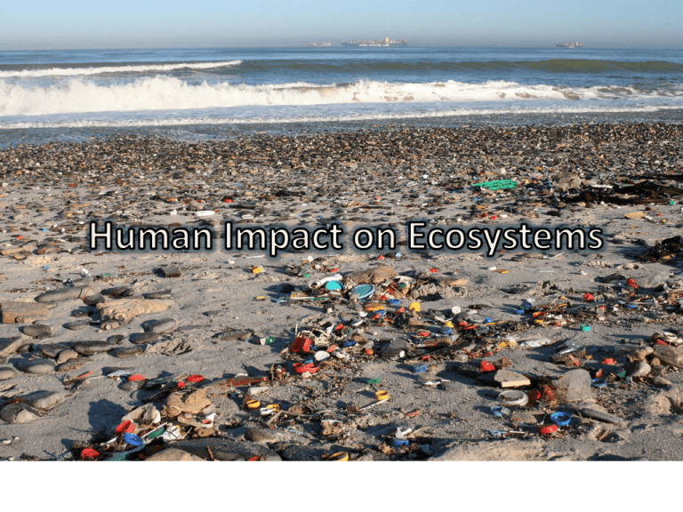 Human Impact on Ecosystems