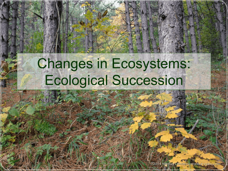 Ecological Succession: Ecosystem Changes Explained