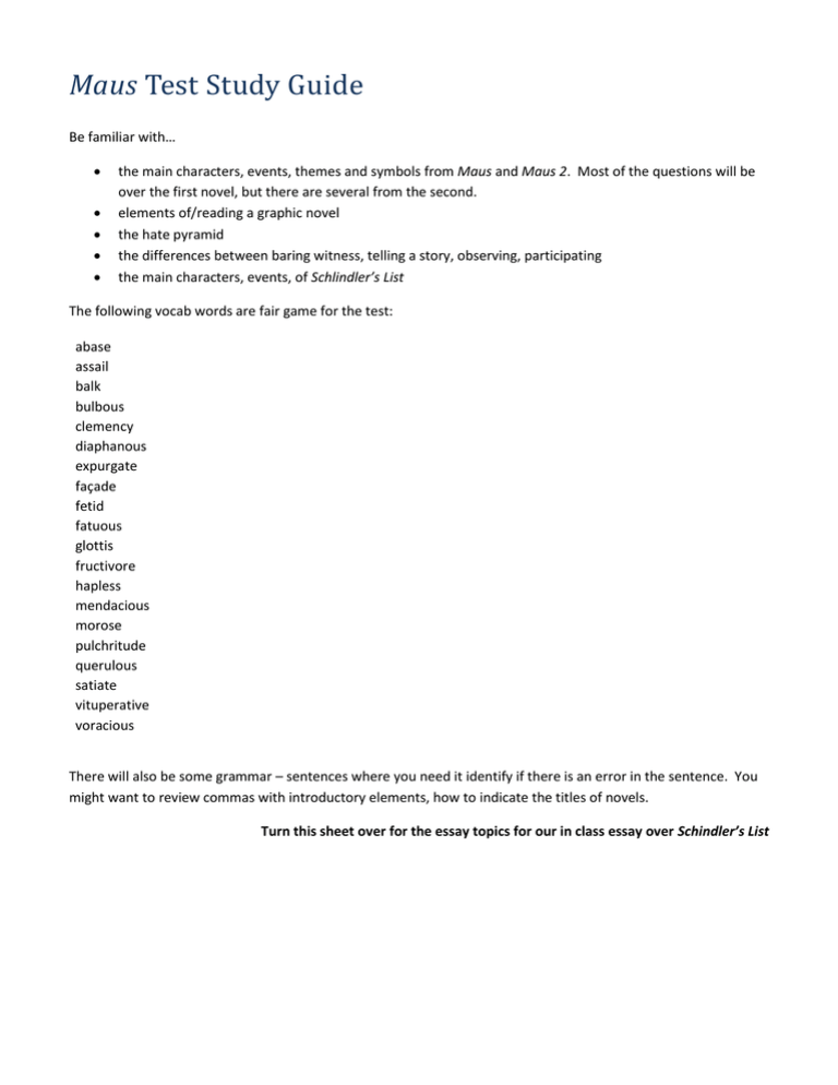 Maus & Schindler's List Study Guide: Characters, Themes, Essays