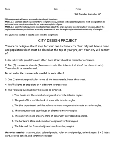 Parallel Lines City Project: Geometry Assignment