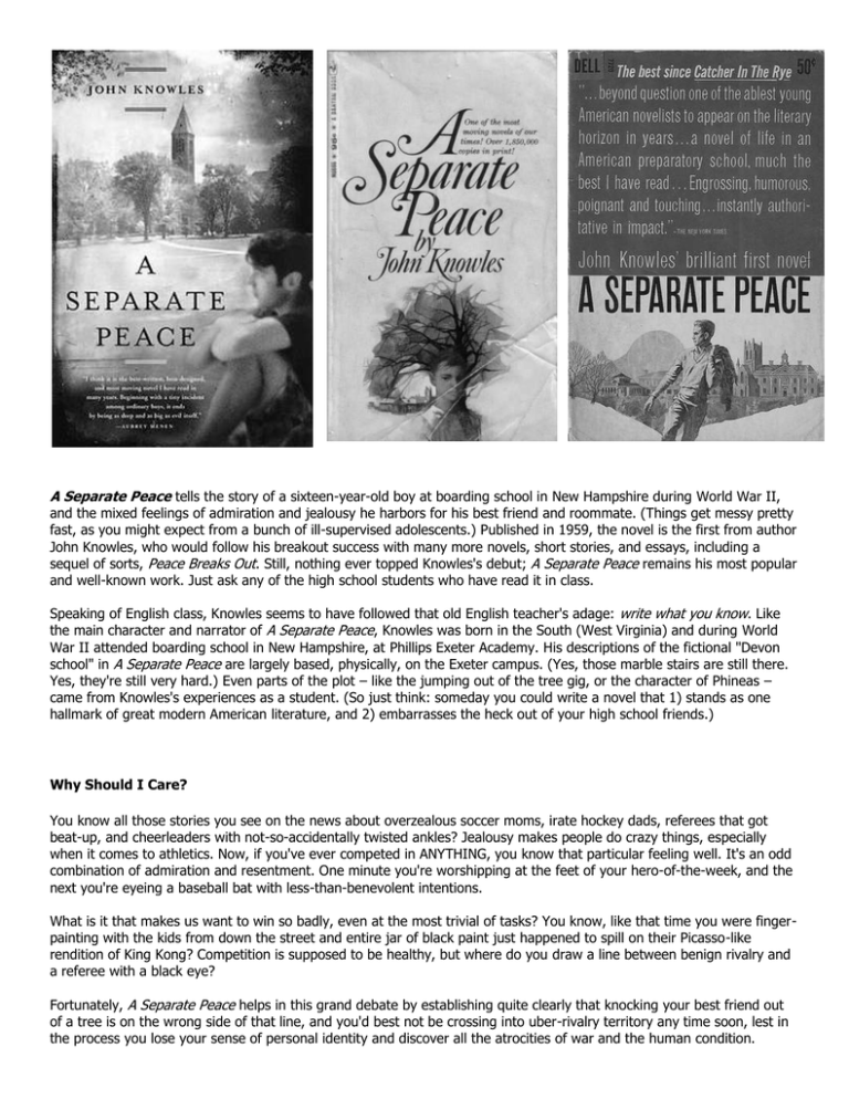 A Separate Peace: Themes, Analysis & Questions