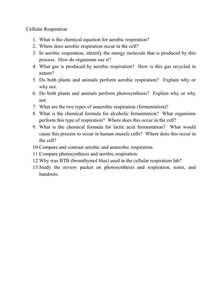 Cellular Respiration Review