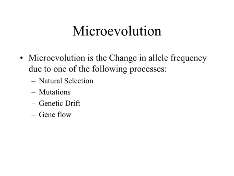 Microevolution