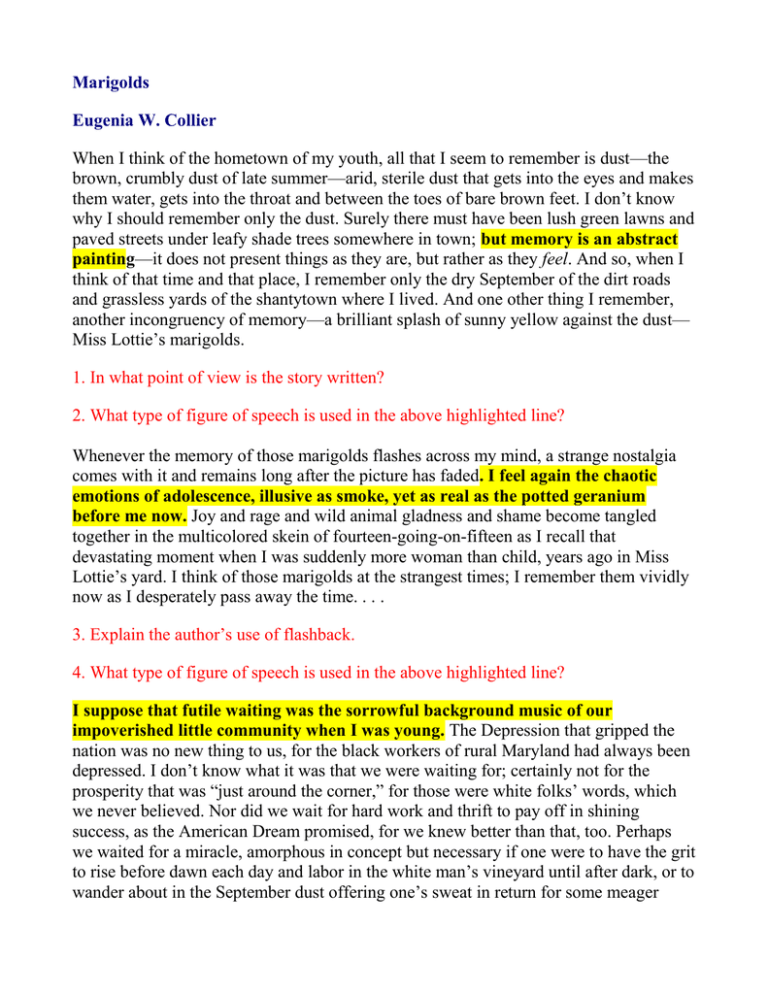 Marigolds by Collier: Literary Analysis Questions