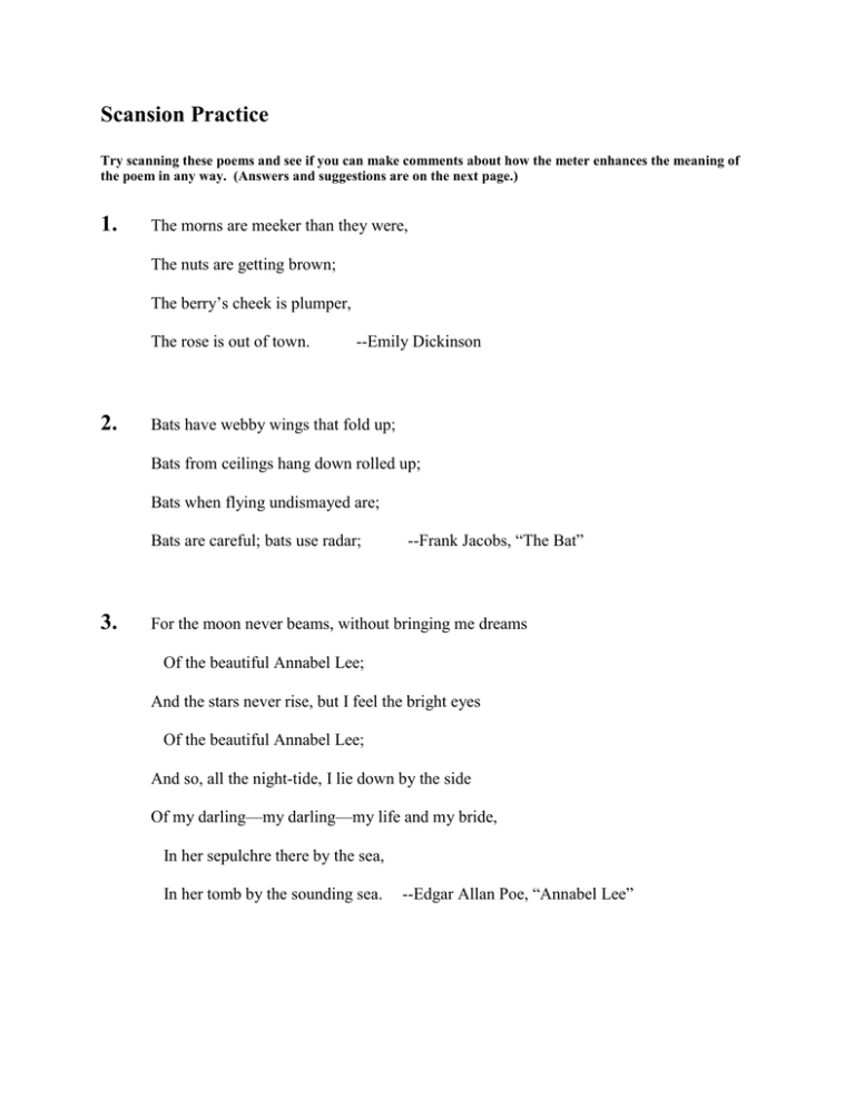 Scansion Practice: Analyzing Poetry Meter