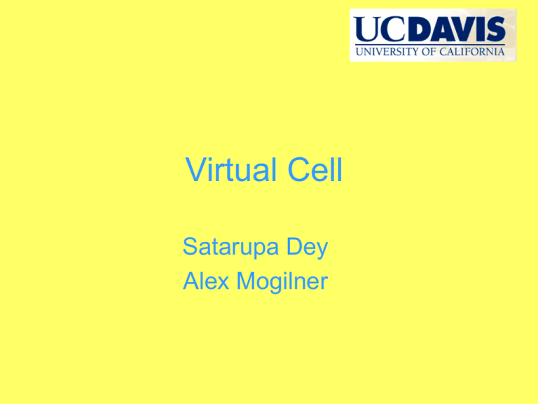 Virtual Cell