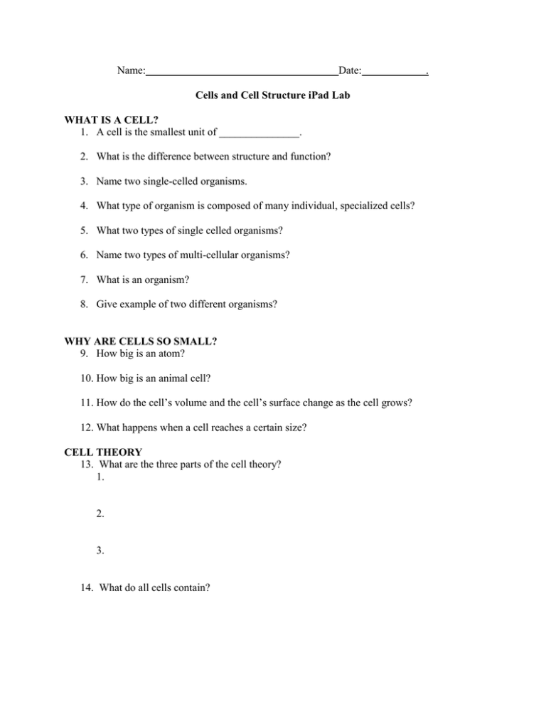 Cells And Cell Structure Cells And Cell Structure
